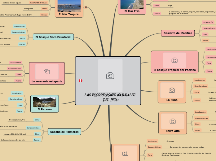 Ecosistemas Del Peru Mind Map | Images and Photos finder